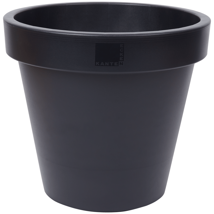 Action Polska | Action.com